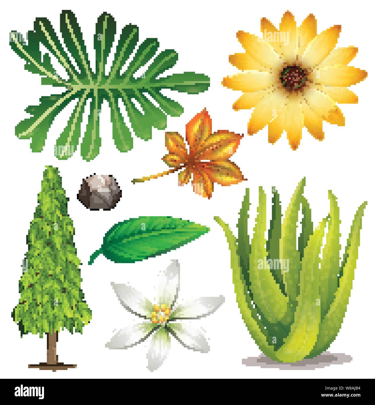 Set of isolated objects theme nature illustration Stock Vector Image ...