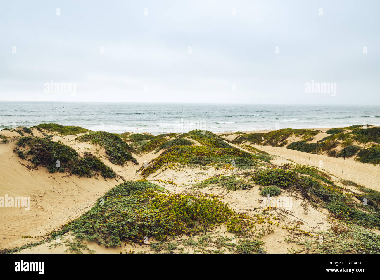 SandDunes and Ocean View, Oso Flaco Lake Natural Area, California Stock ...