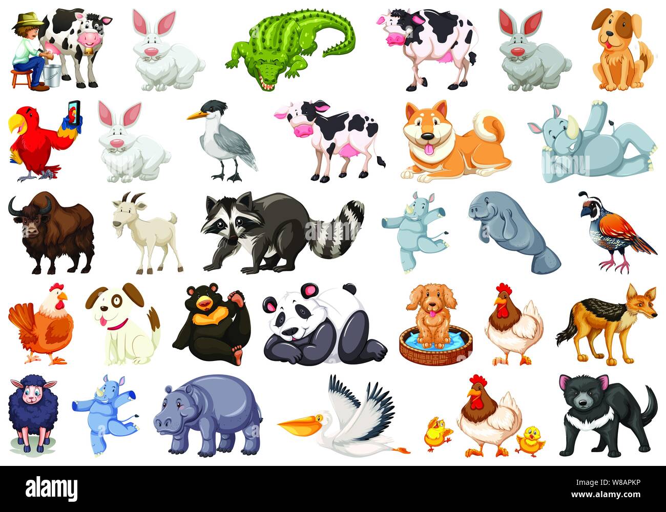 Group diverse isolated animals hi-res stock photography and images - Alamy