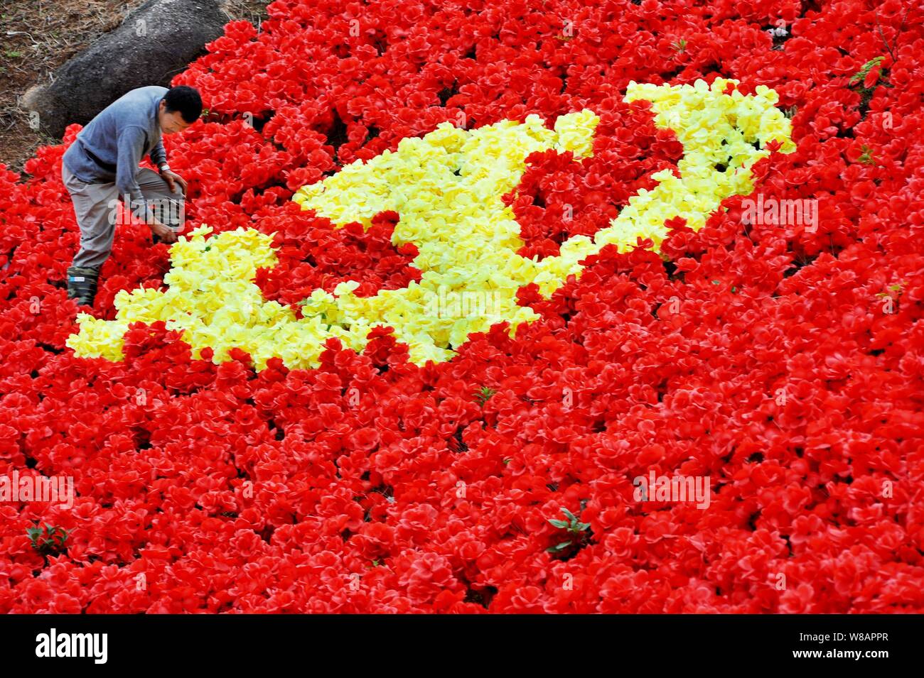 A Chinese worker prunes flowers on display in the shape of the flag of ...