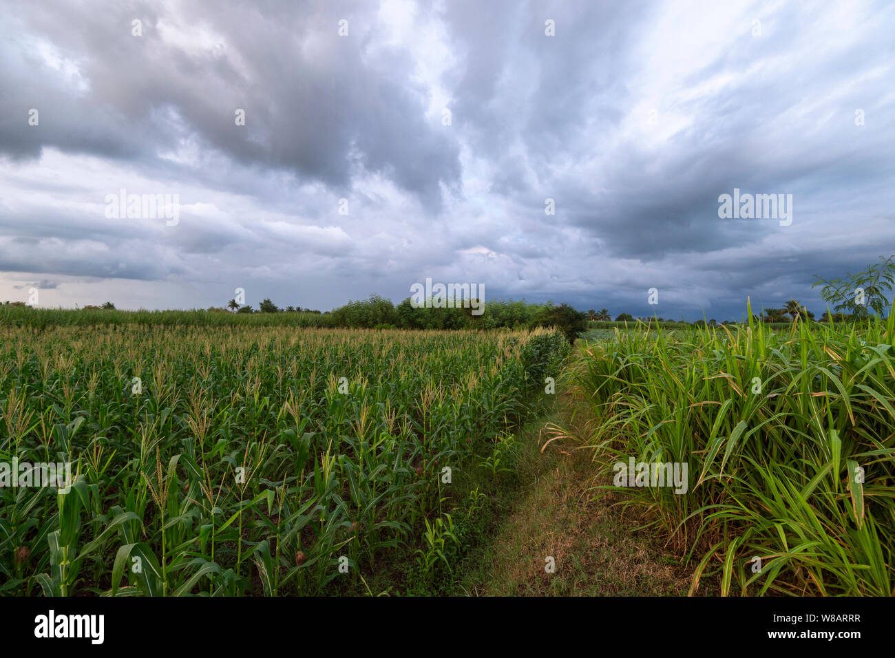 Junnar hi-res stock photography and images - Alamy