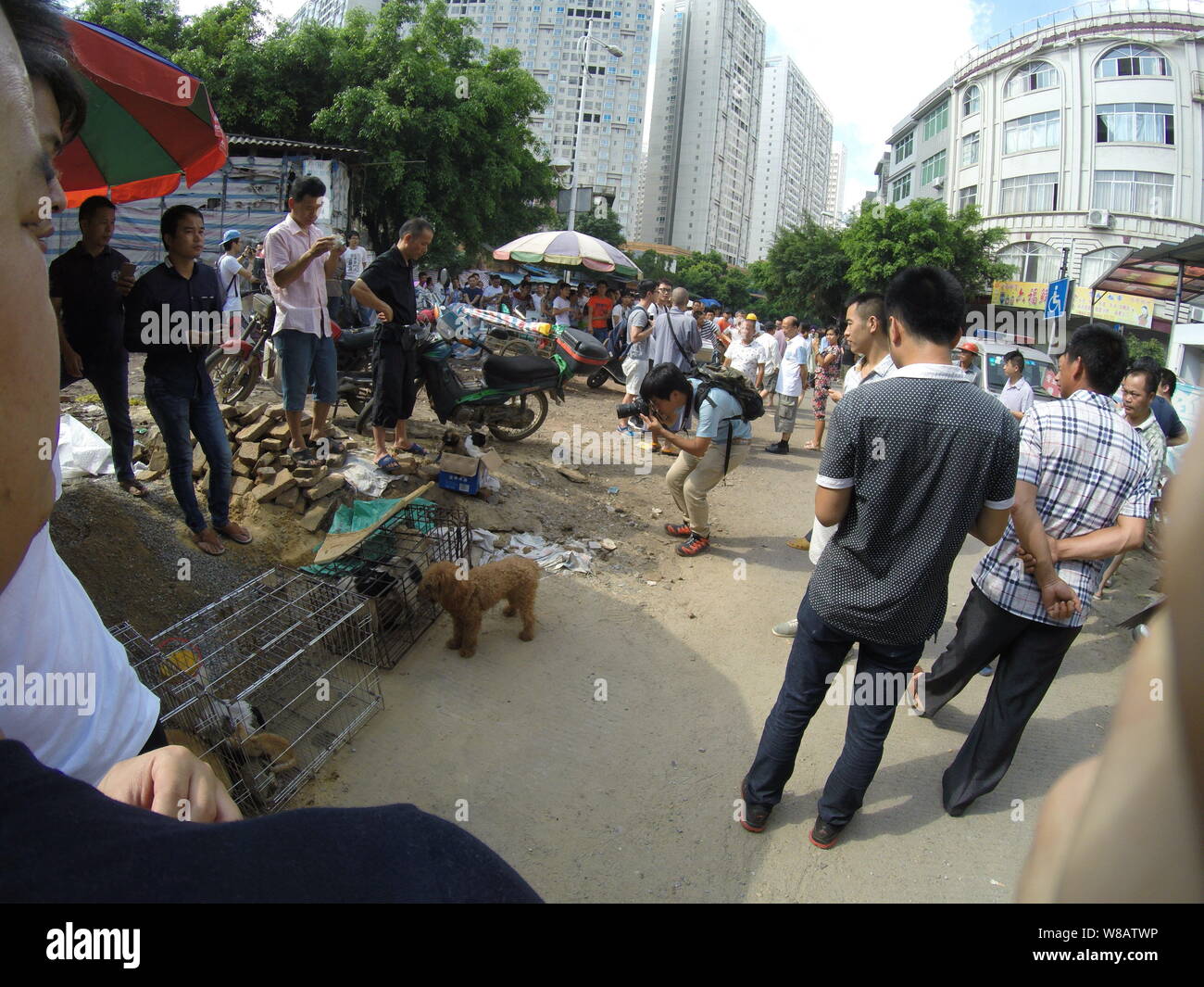 China yulin festival High Resolution Stock Photography and Images - Alamy