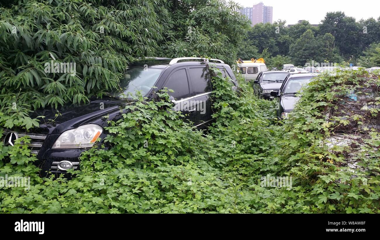 Police impound lot hi-res stock photography and images - Alamy