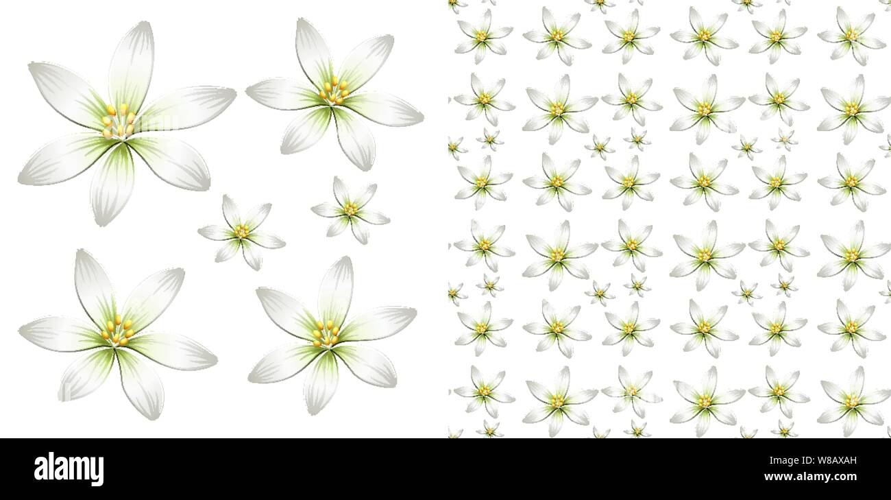 Seamless background design with white flower illustration Stock Vector ...