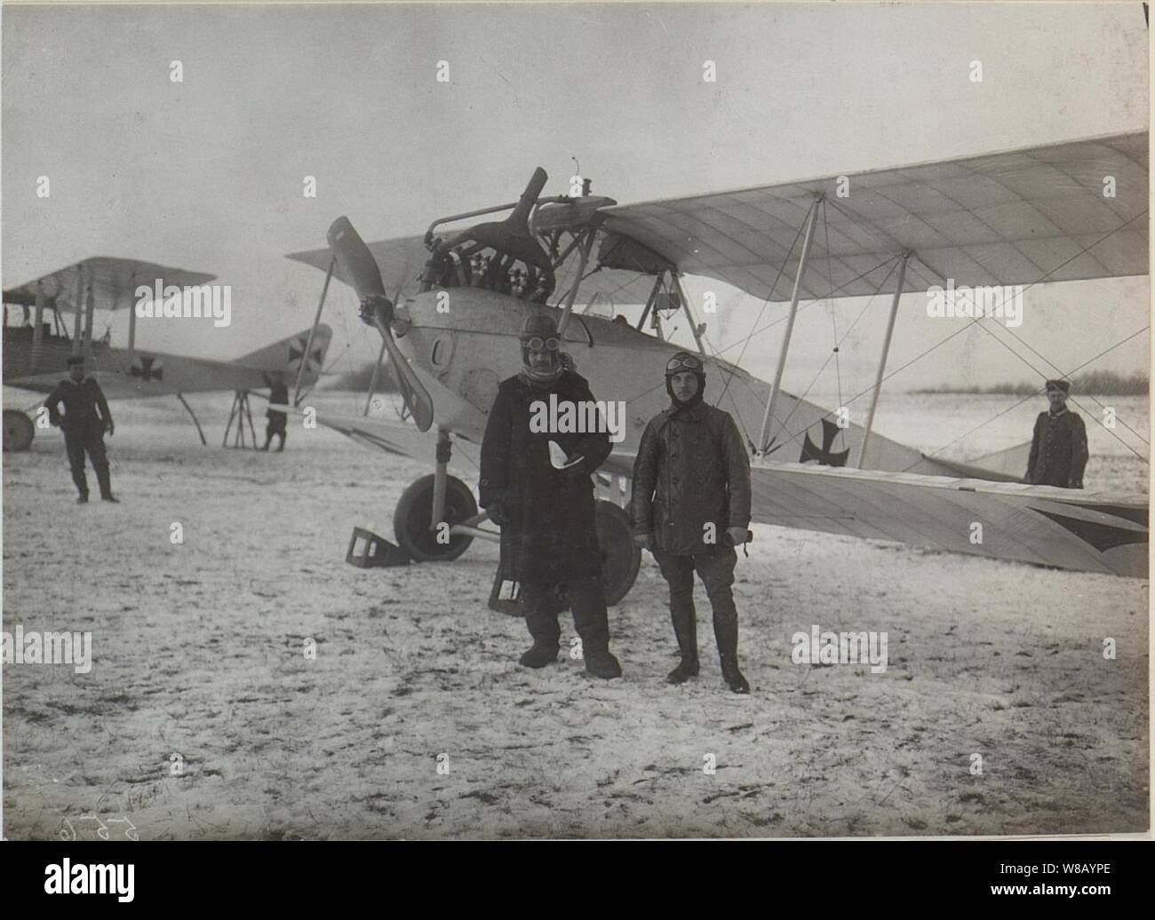 Historical photo of an albatross hi-res stock photography and images ...