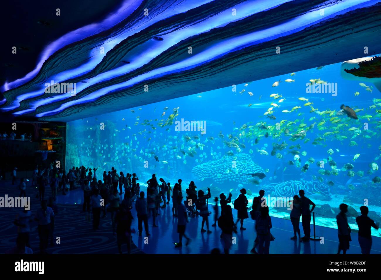 Tourists watch fish and turtles swimming in the worlds largest aquarium ...