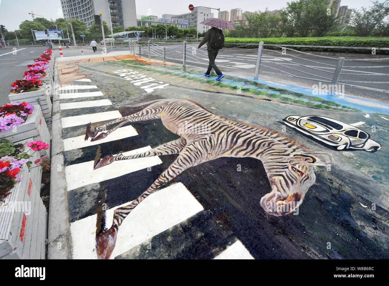 A pedestrian walks on a zebra crossing featuring a 3D painting of a ...