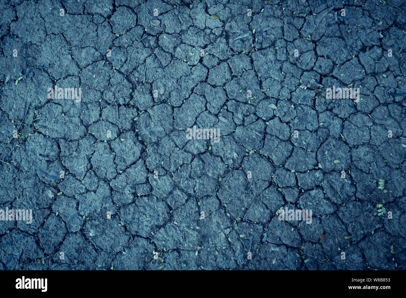 Cracked dry earth soil after no rain water longtime, abstract sad dry ...