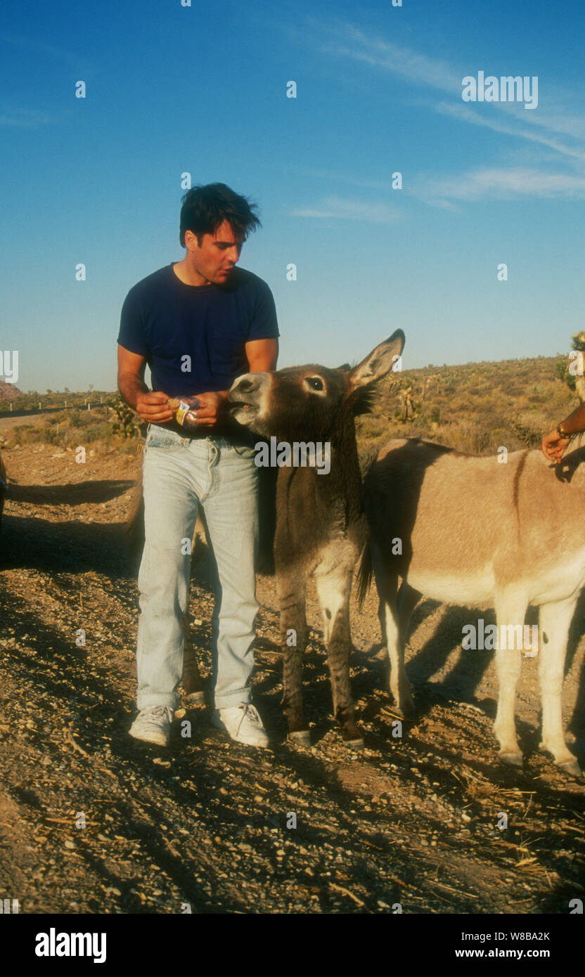 Las Vegas, Nevada, USA 24th October 1994 (Exclusive) Actor Thom Bierdz ...
