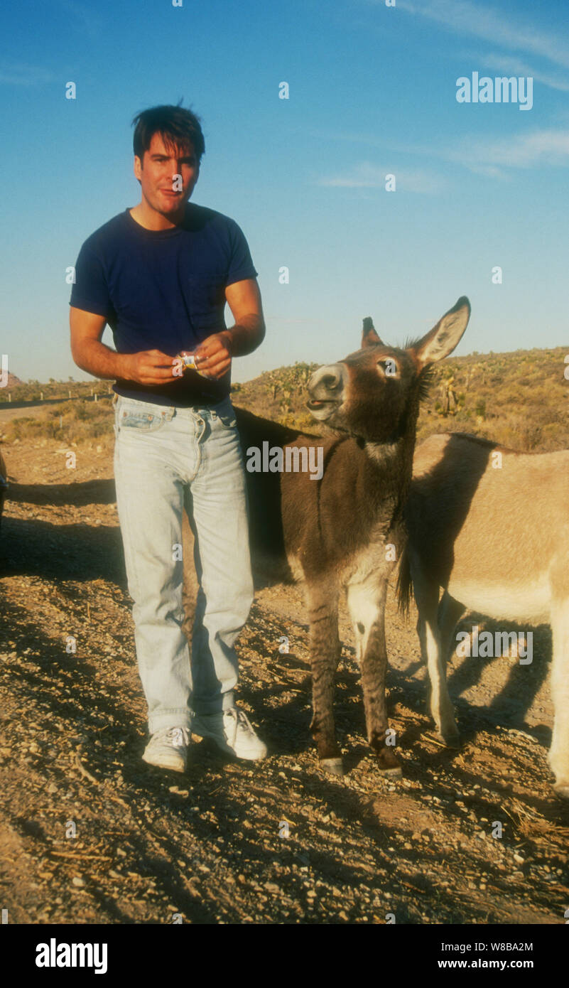 Las Vegas, Nevada, USA 24th October 1994 (Exclusive) Actor Thom Bierdz ...