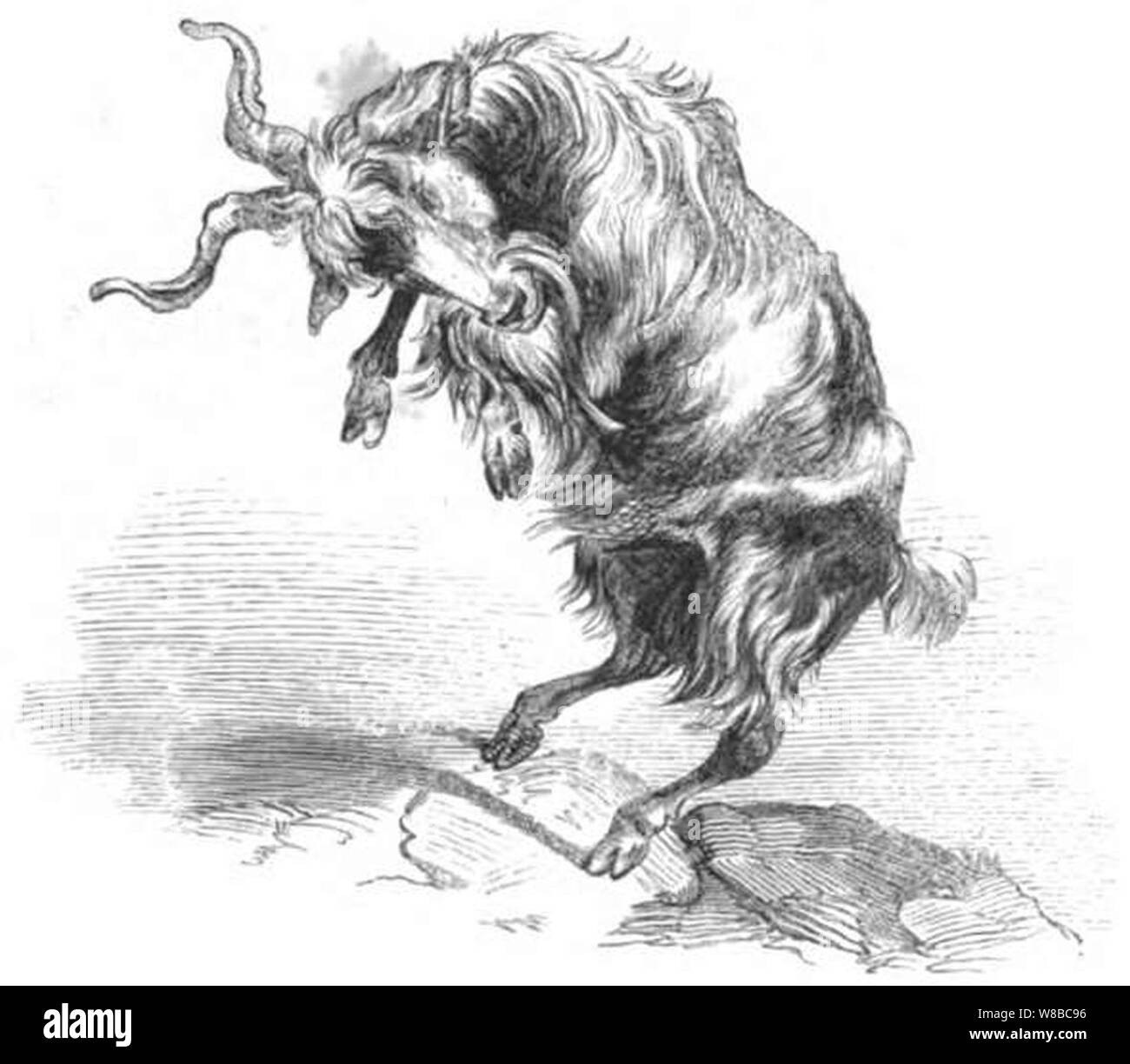 Der Nürnberger Trichter 56 b1 Stock Photo - Alamy