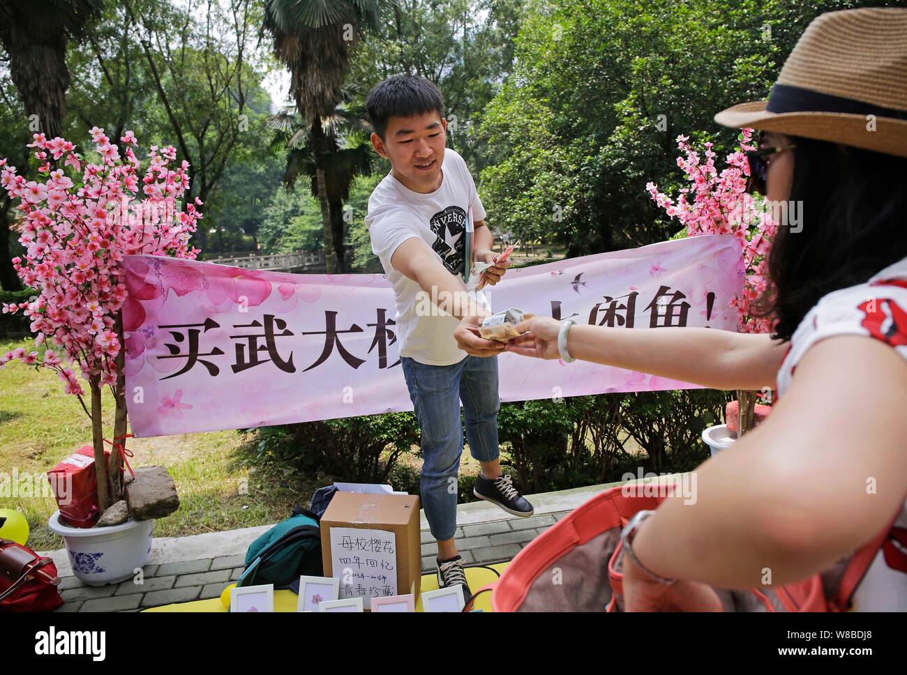 Chinese graduate Xiaoxian sells framed Wuhan University's sakura at the ...