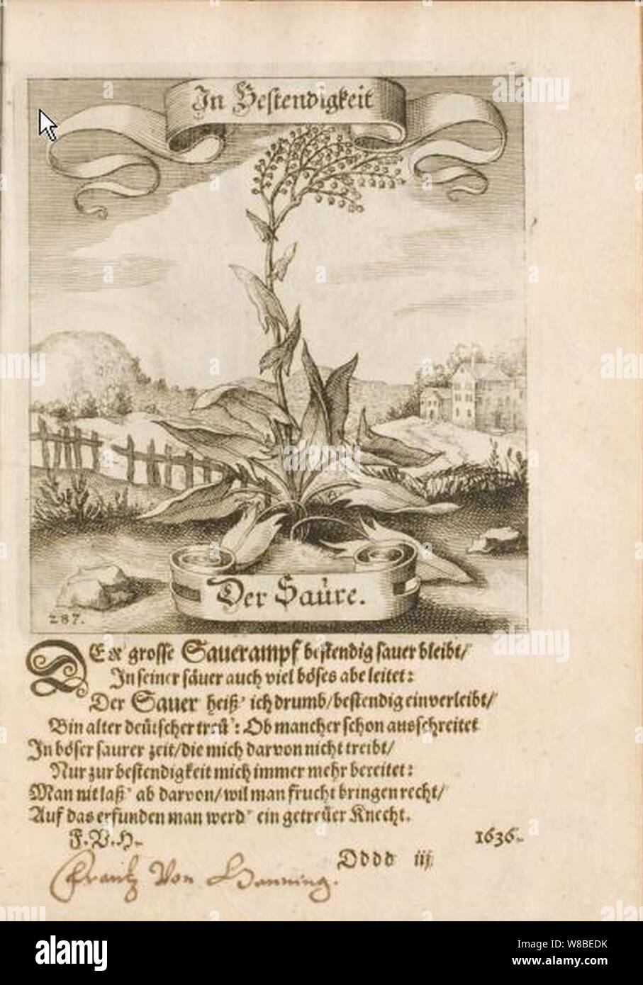 Saure hi-res stock photography and images - Alamy