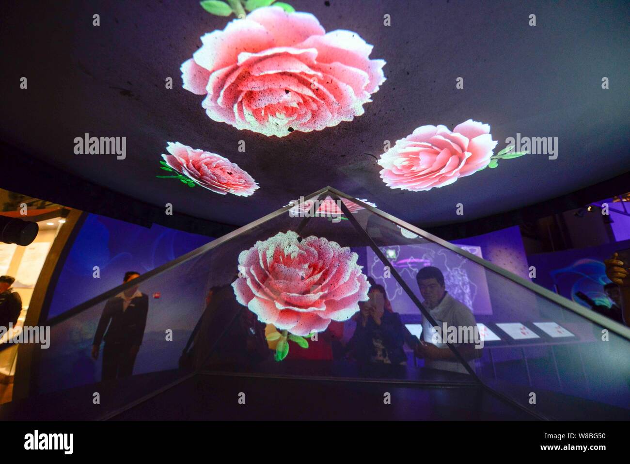 People visit the Chinese Rose Museum, which is the world's first rose ...