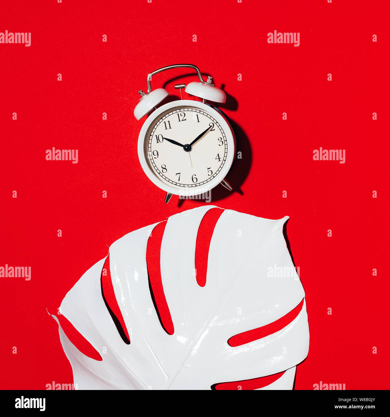 White alarm clock and monstera leaf over red background. Wake up alert ...