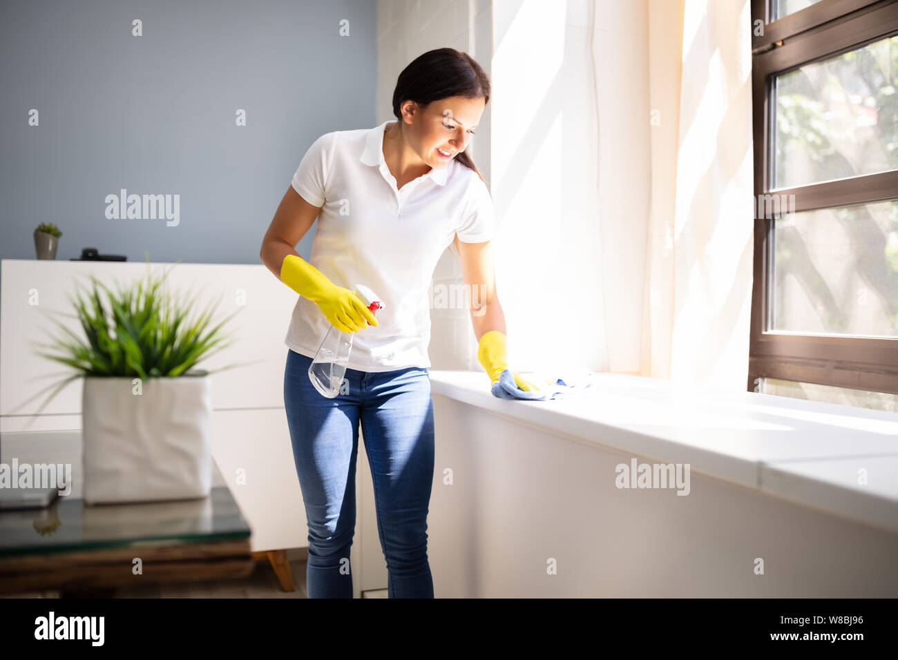 Office window cleaning woman hi-res stock photography and images - Alamy