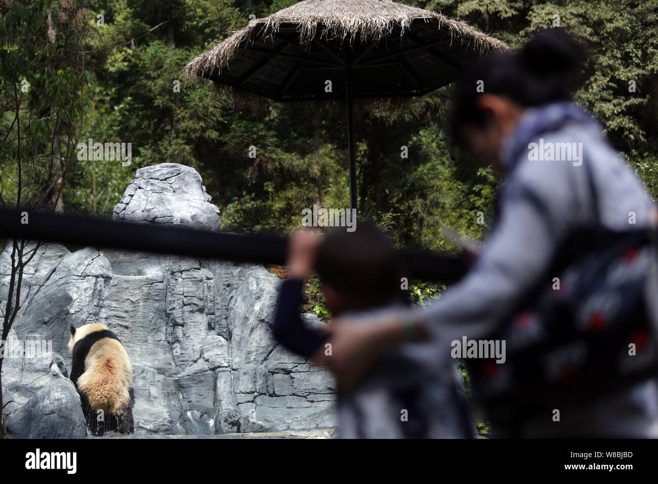 Visitors look at animal hi-res stock photography and images - Alamy