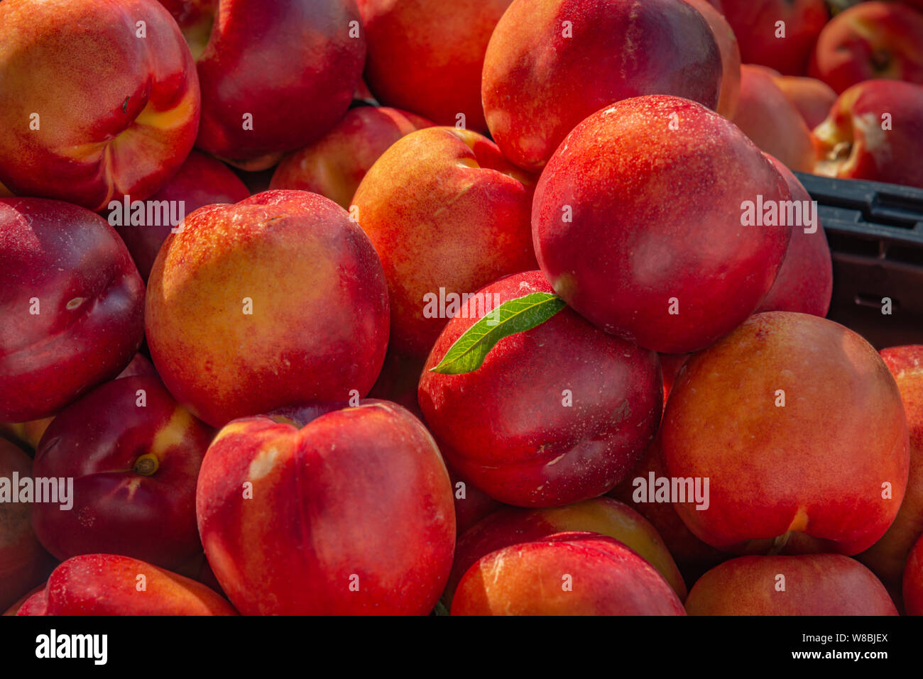 Nectarines with leaf, Farmers Market Stock Photo - Alamy