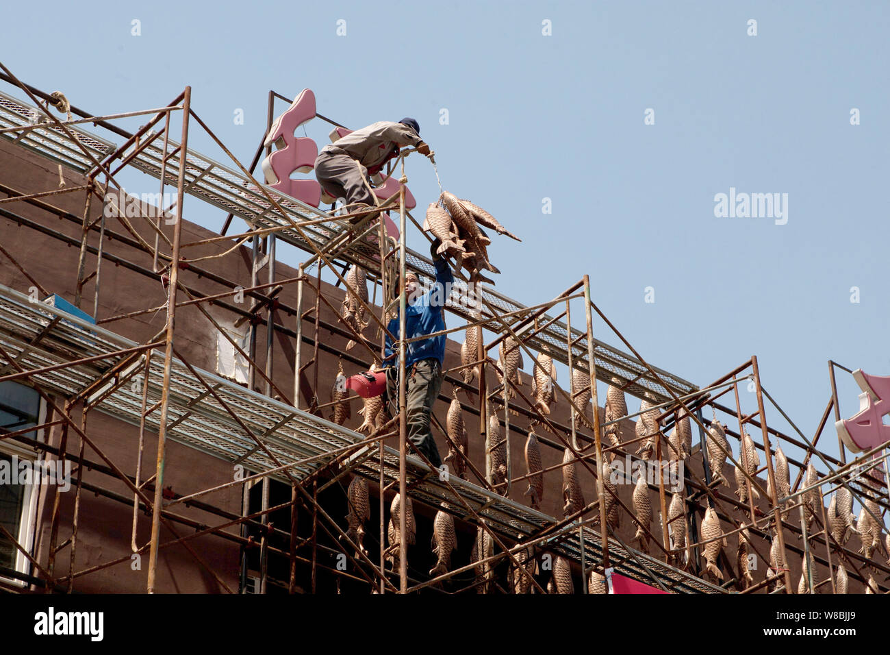 Chinese workers hang up plastic fish made out of polyurethane on ...