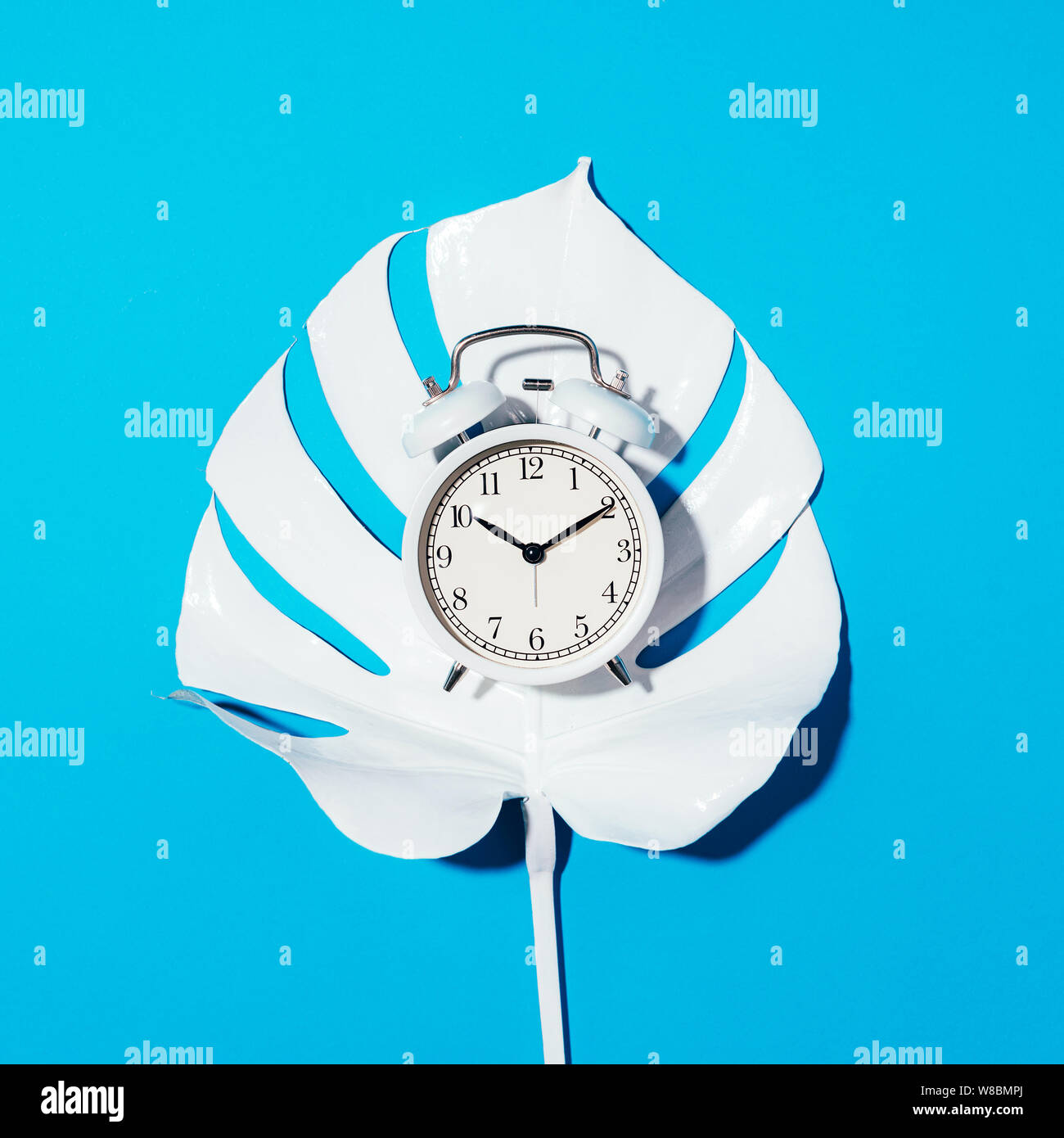 White alarm clock and monstera leaf over blue background with copy ...