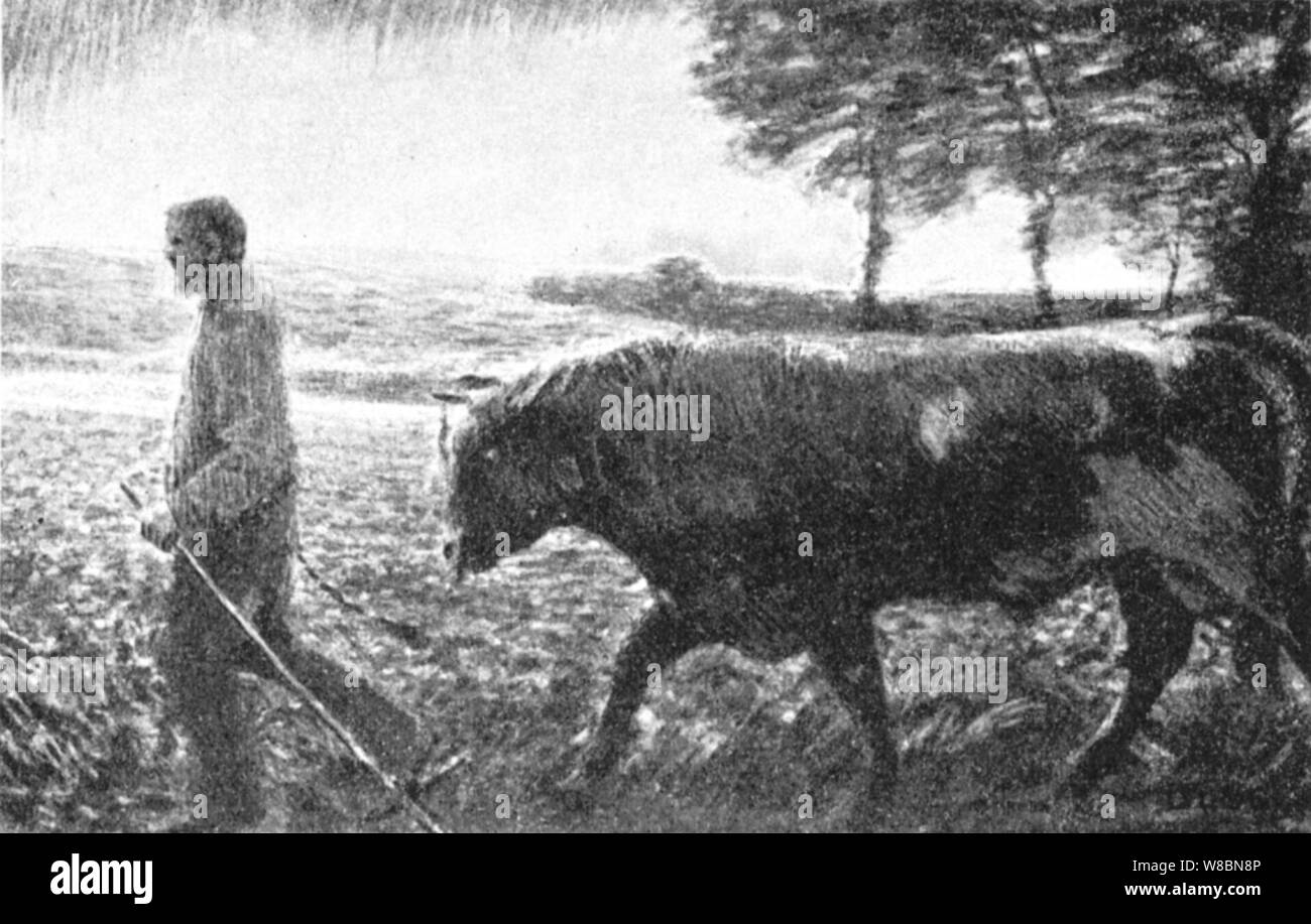 Vintage stier Black and White Stock Photos & Images - Alamy