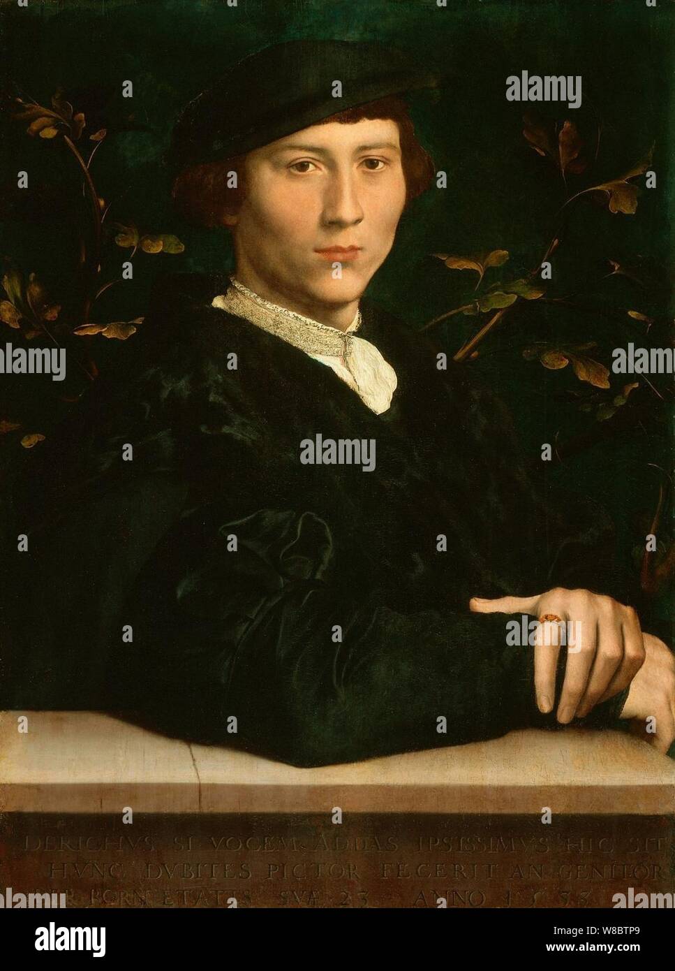 Derich Born by Hans Holbein the Younger Stock Photo - Alamy