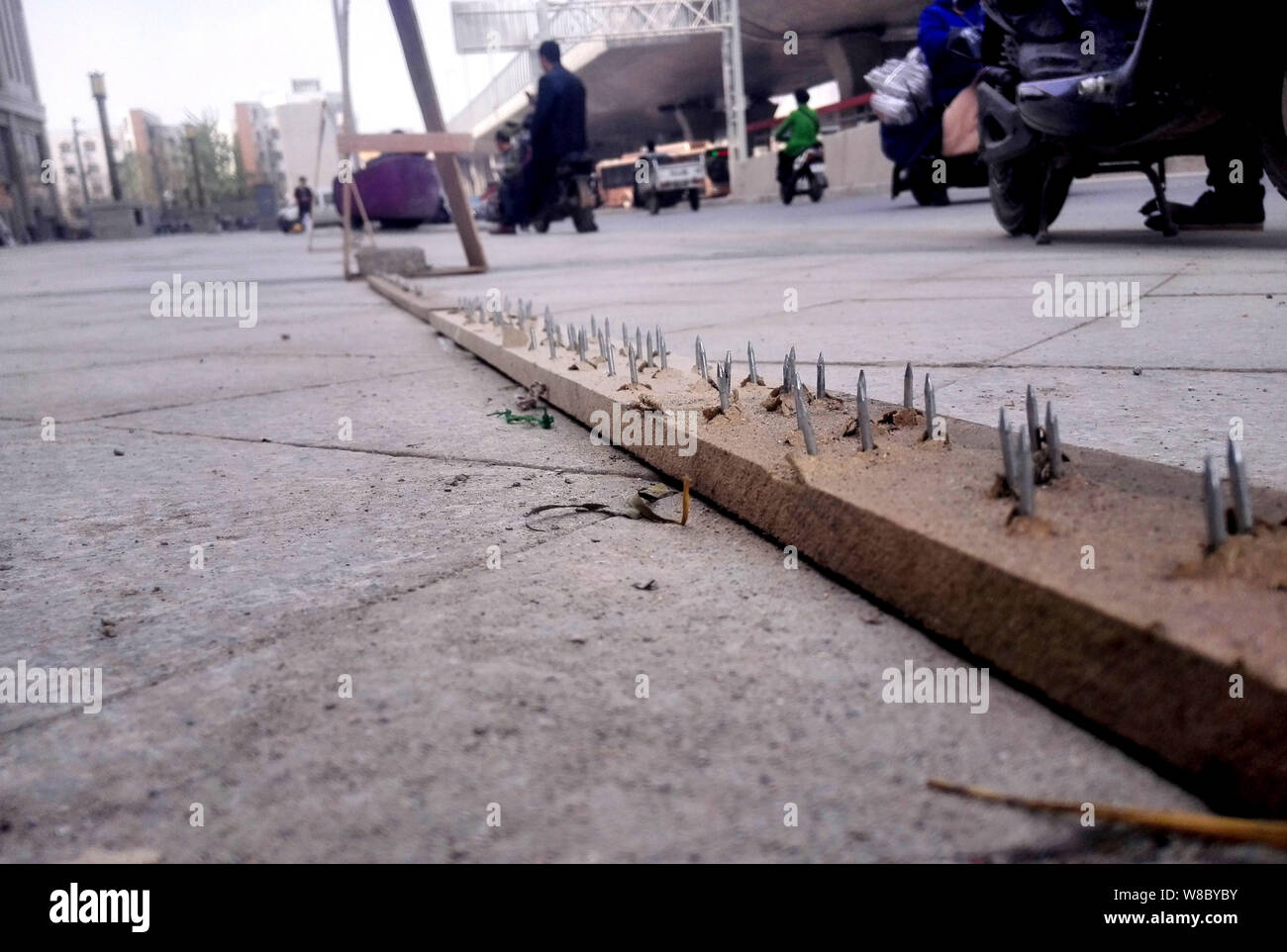 Nail planks are placed on the ground to prevent from car parking at the ...