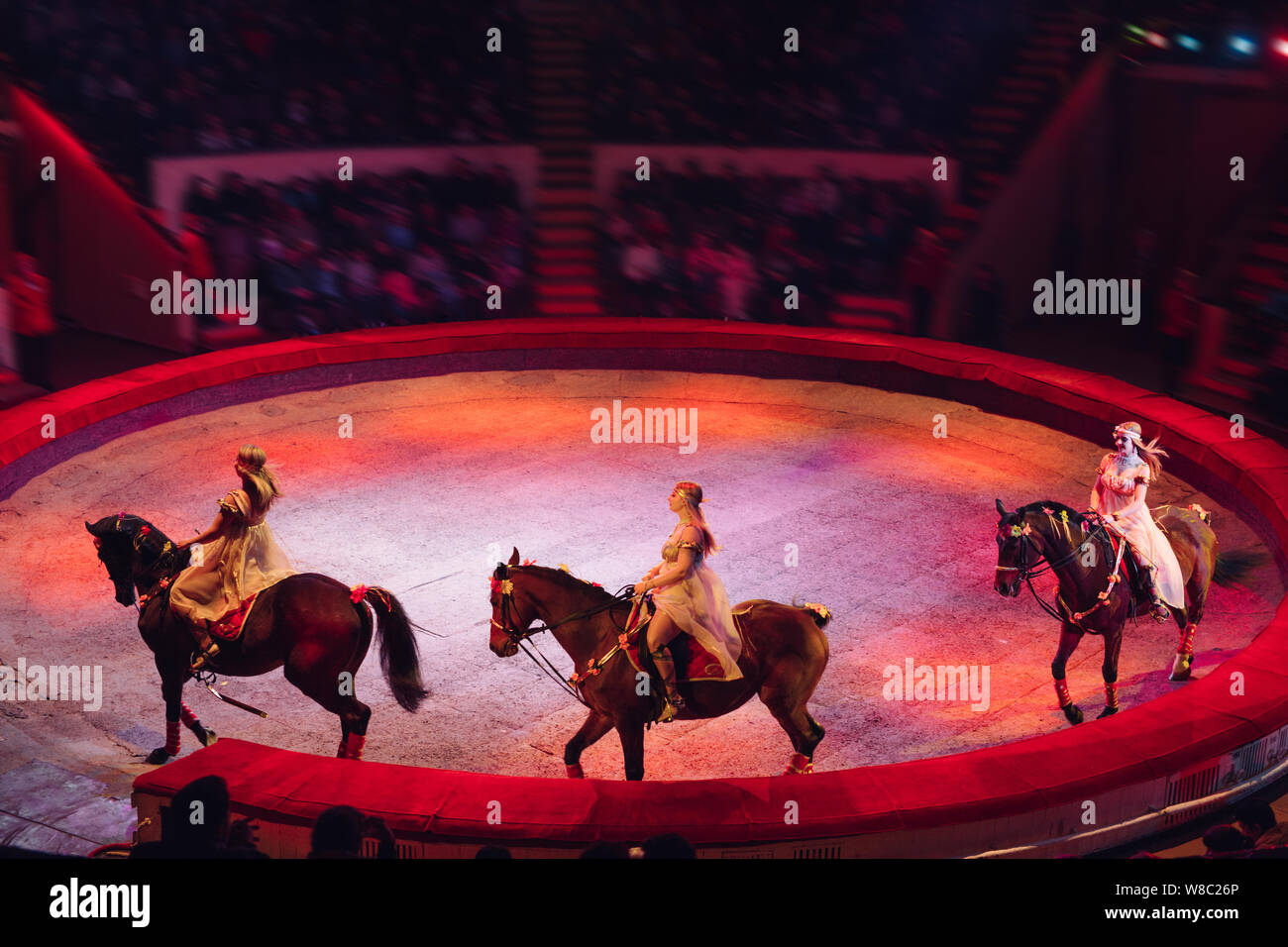 Horses in the circus. Speech horses with trainers on the stage of the ...