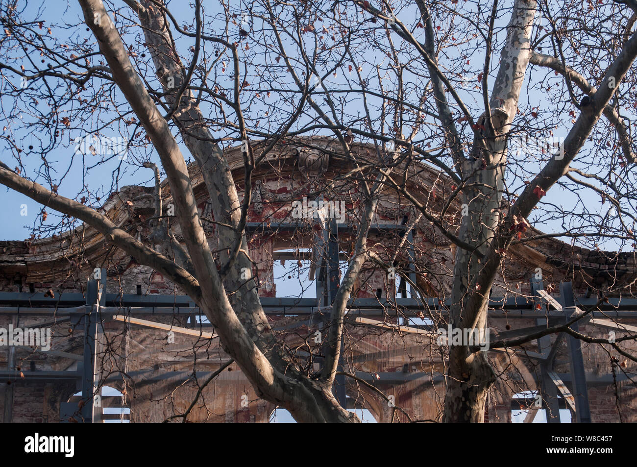 Old abandoned building facade behind big tree branches on blue sky ...