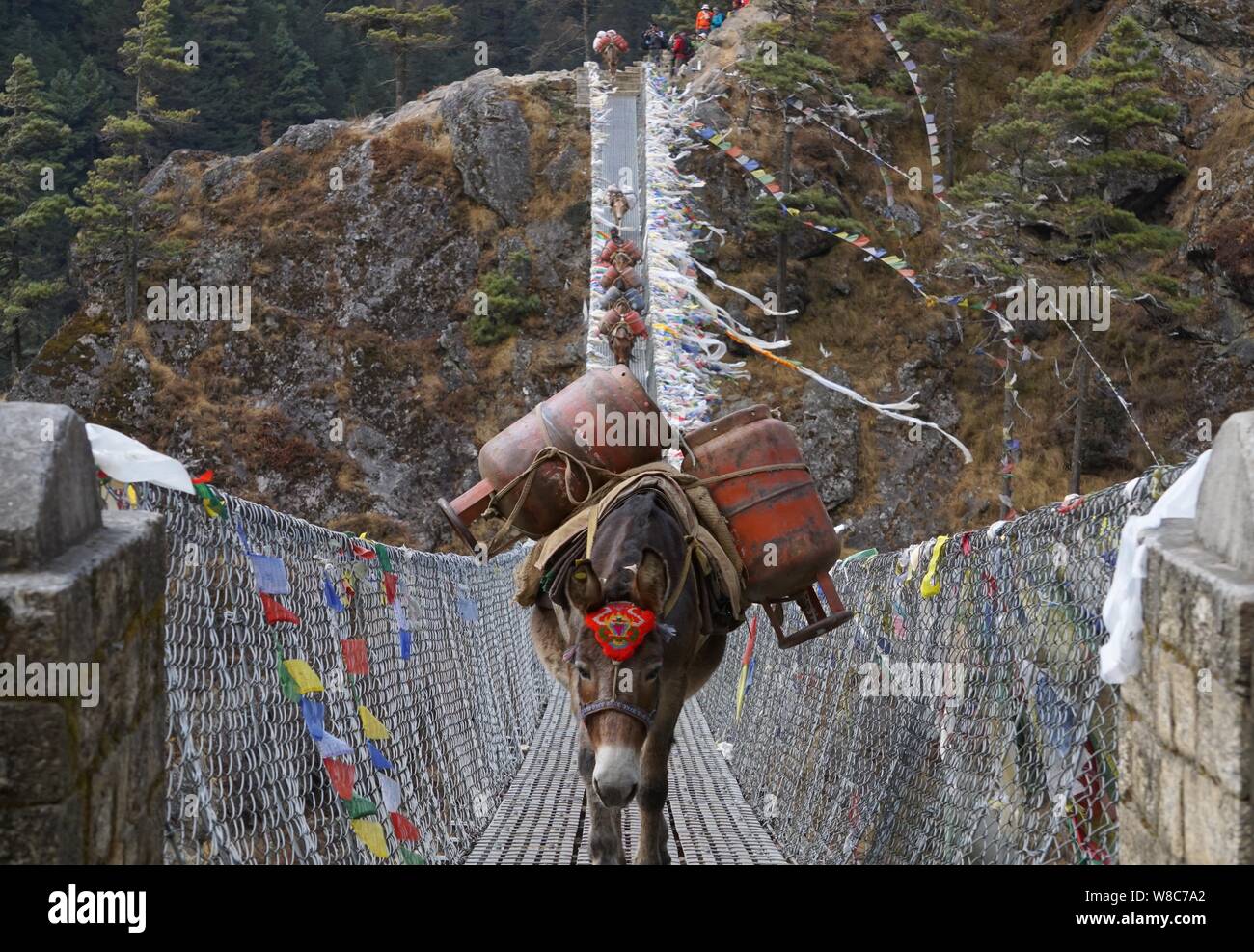 Tibetan Bridge High Resolution Stock Photography and Images - Alamy