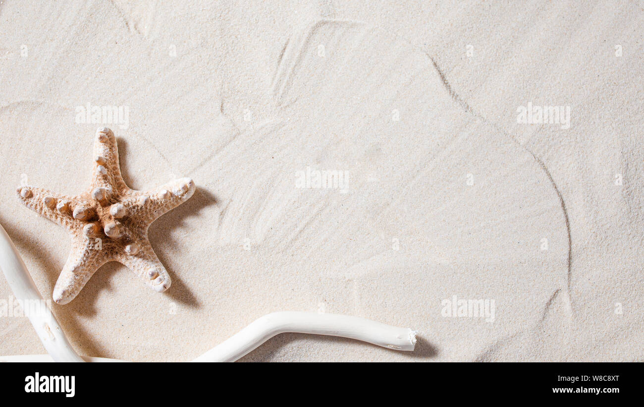 Beach vacation. Starfish, and a white tree branch and juicy fruits lie ...