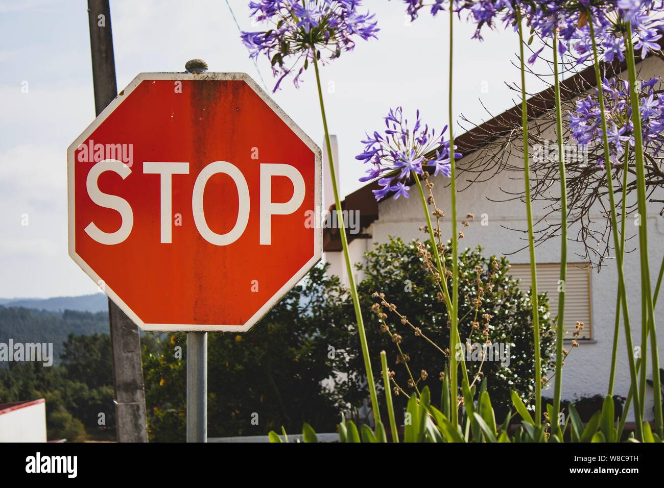 Stop sign with a beautiful background. Peaceful rural area view. Summer ...
