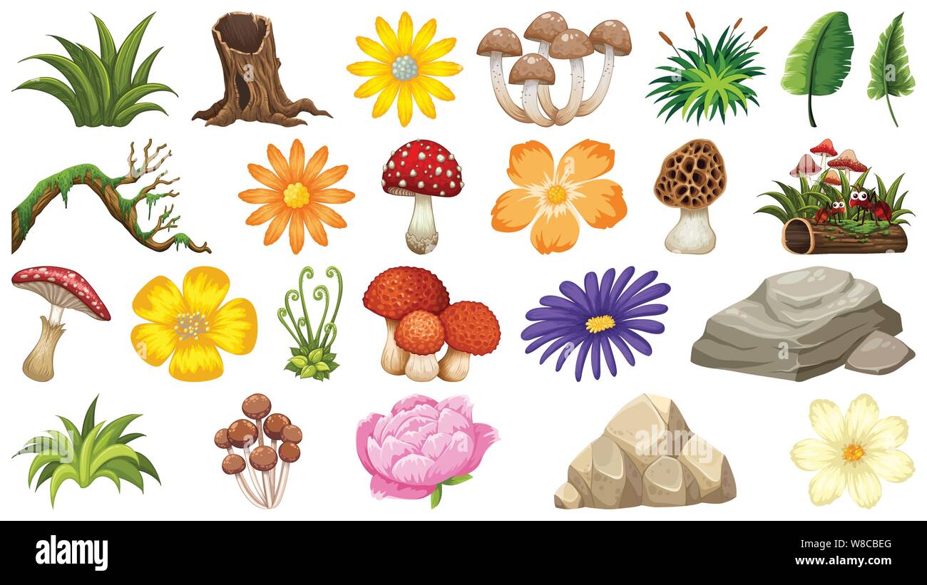 Large group of isolated objects theme - nature illustration Stock ...