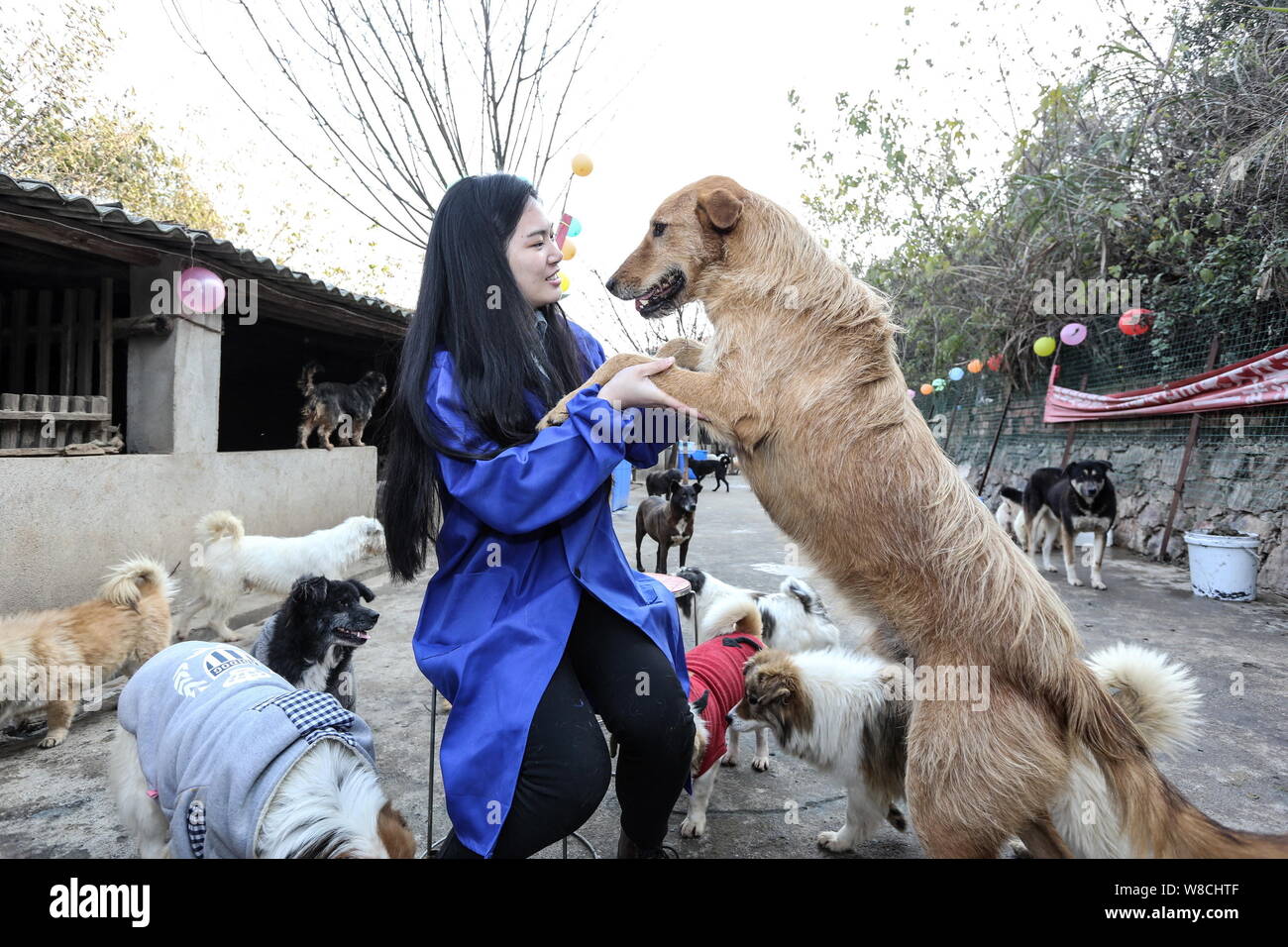 A volunteer plays with a dog at a stray animal adoption base in Wuhan ...