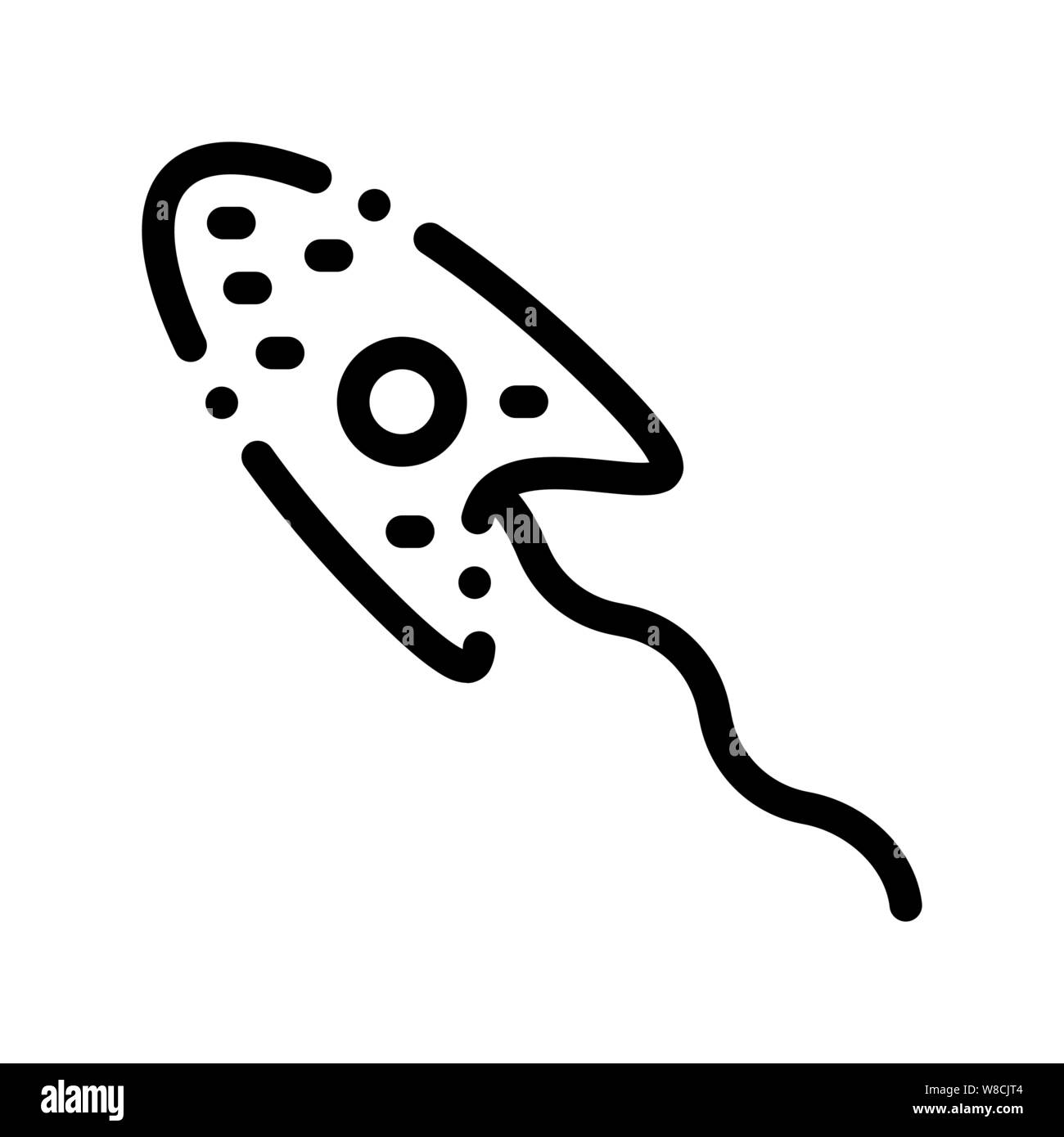 Microscopic Bacteria Germ Vector Thin Line Icon Stock Vector Image ...