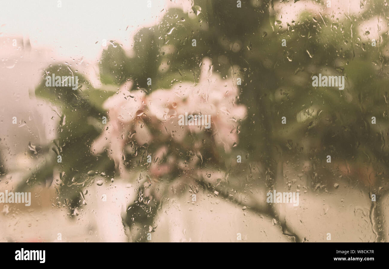 Water Droplet Falling From A Leaf High Resolution Stock Photography and Images - Alamy