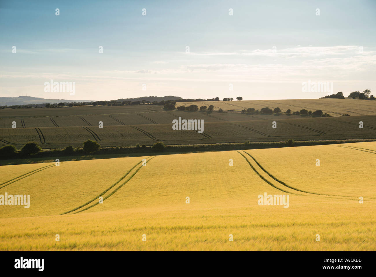 Beautiful Summer landscape of agricultural fields in English ...