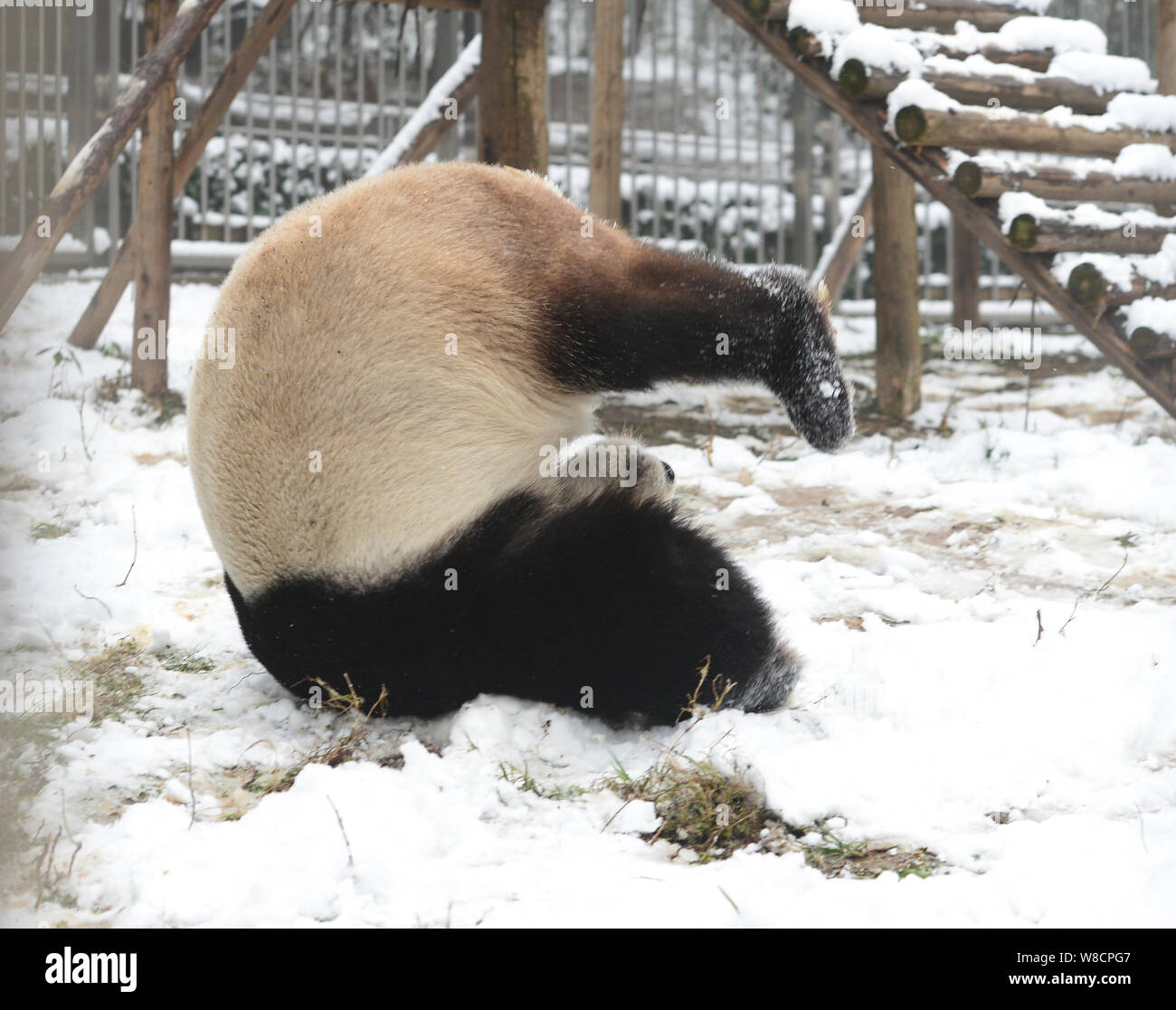 Nothing but snow hi-res stock photography and images - Alamy