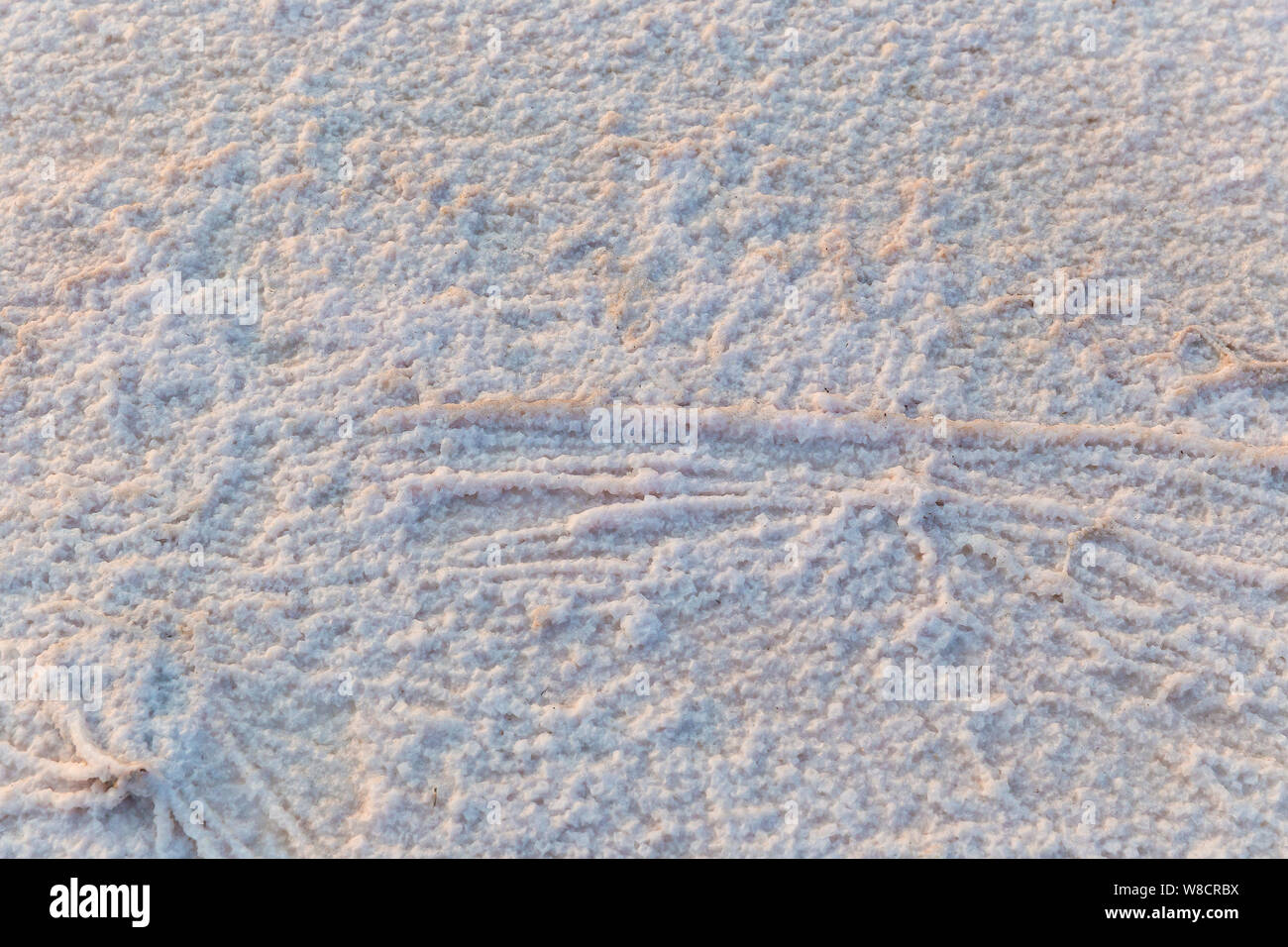 The texture of salt deposited on a salt lake Stock Photo - Alamy