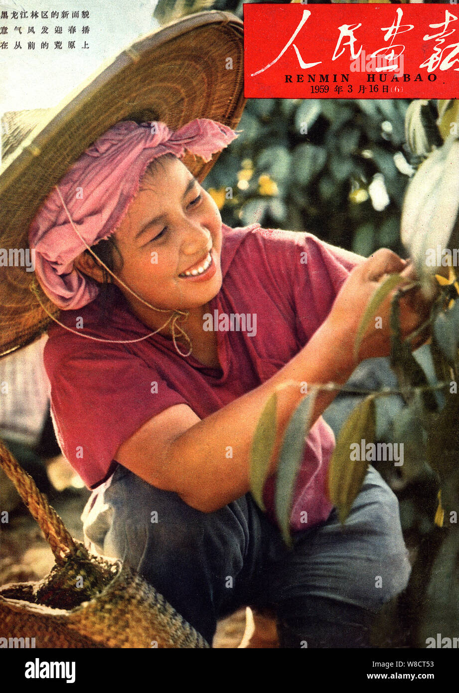 Overseas chinese farm hi-res stock photography and images - Alamy