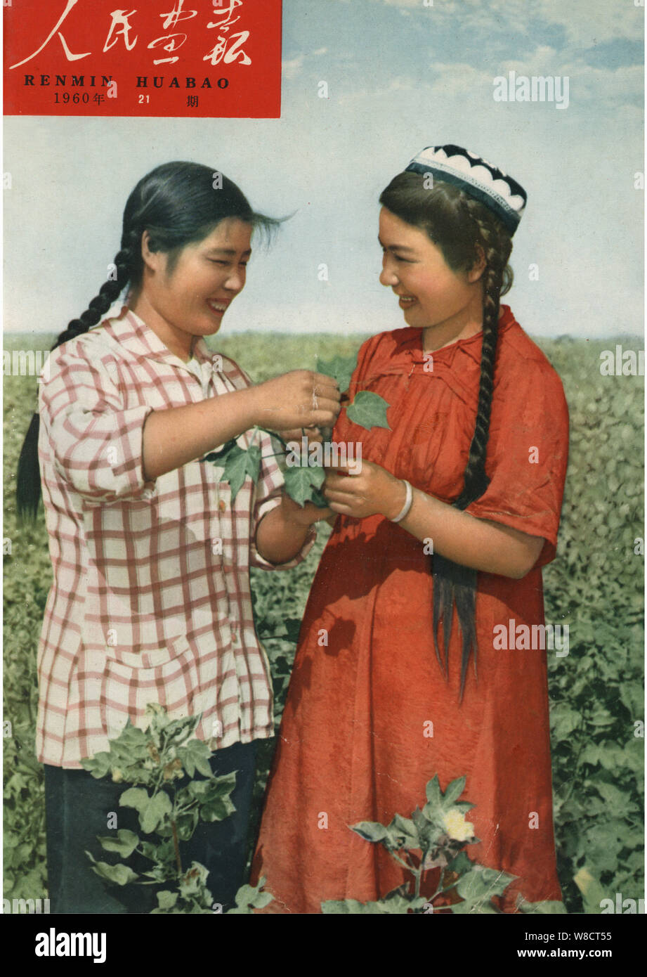 No 1 issue hi-res stock photography and images - Alamy