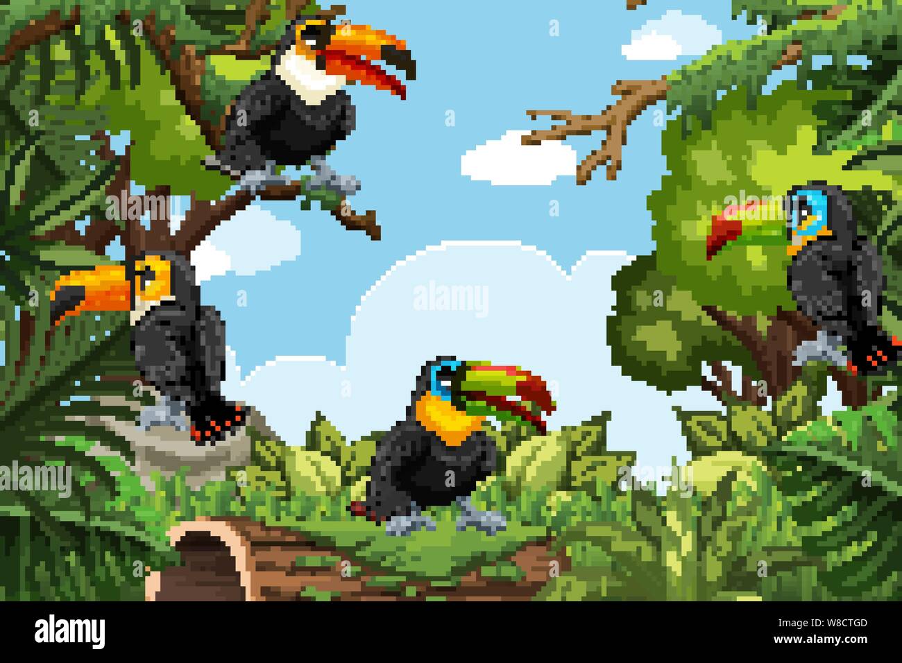 Toucans in jungle scene illustration Stock Vector Image & Art - Alamy