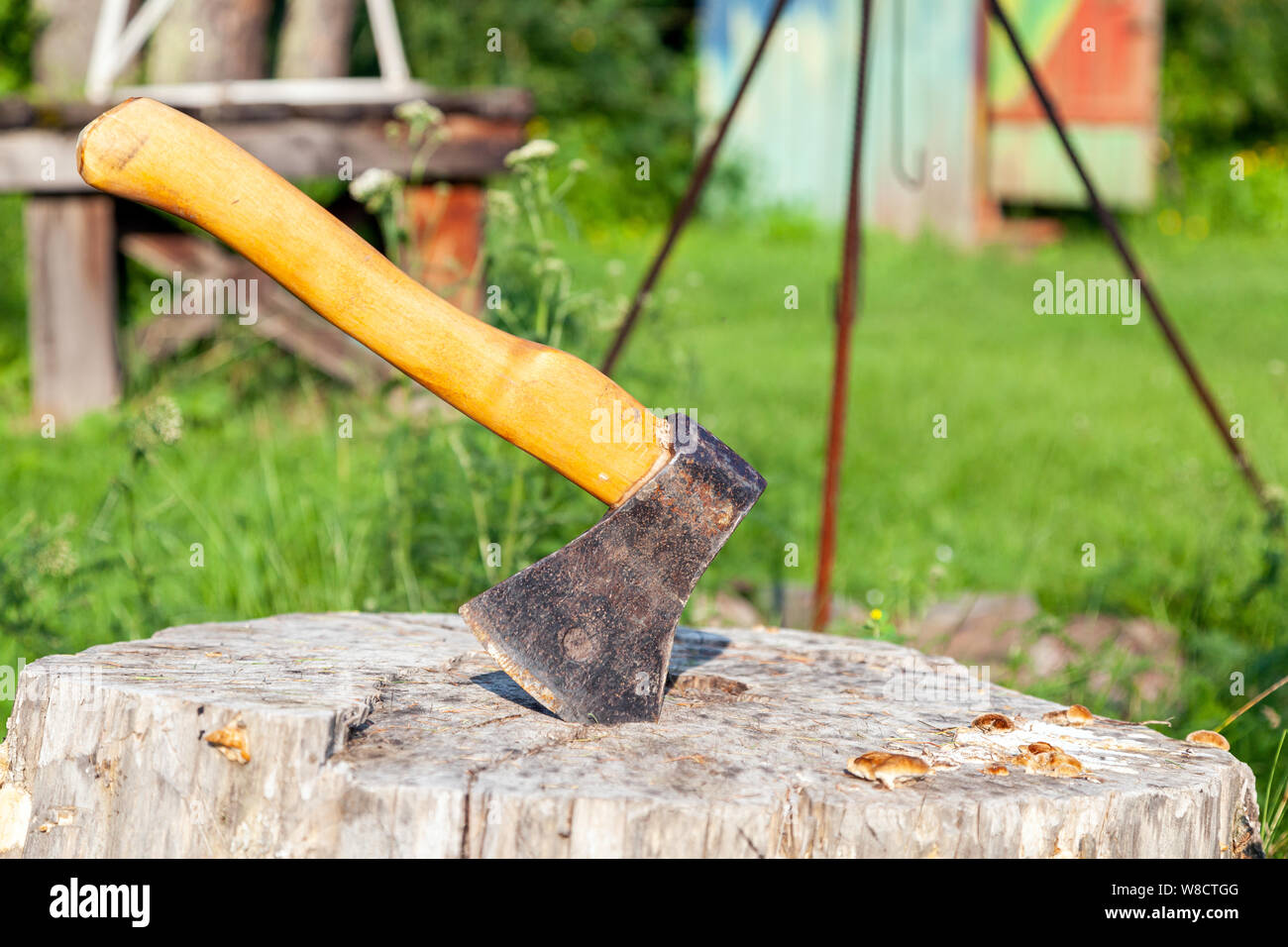 Close-up of a large ax with a wooden handle stuck in a wooden stump ...