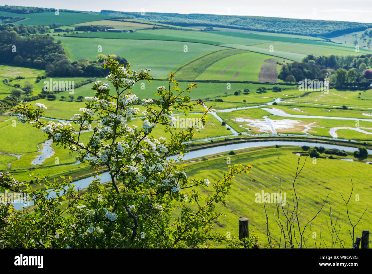 High and over, Seaford, UK Stock Photo - Alamy