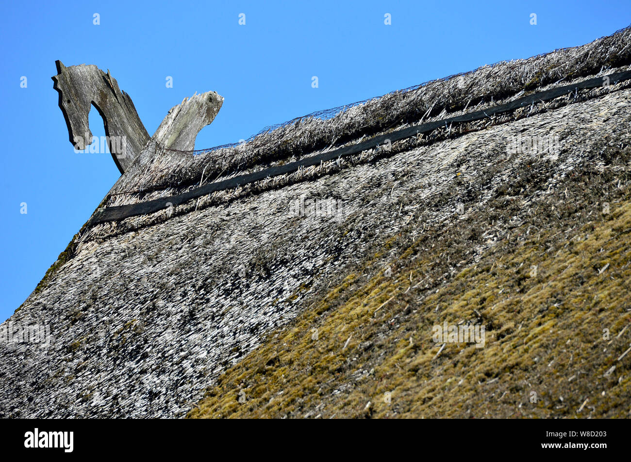 Prerow, Germany. 11th May, 2019. First with horse heads at a thatched ...