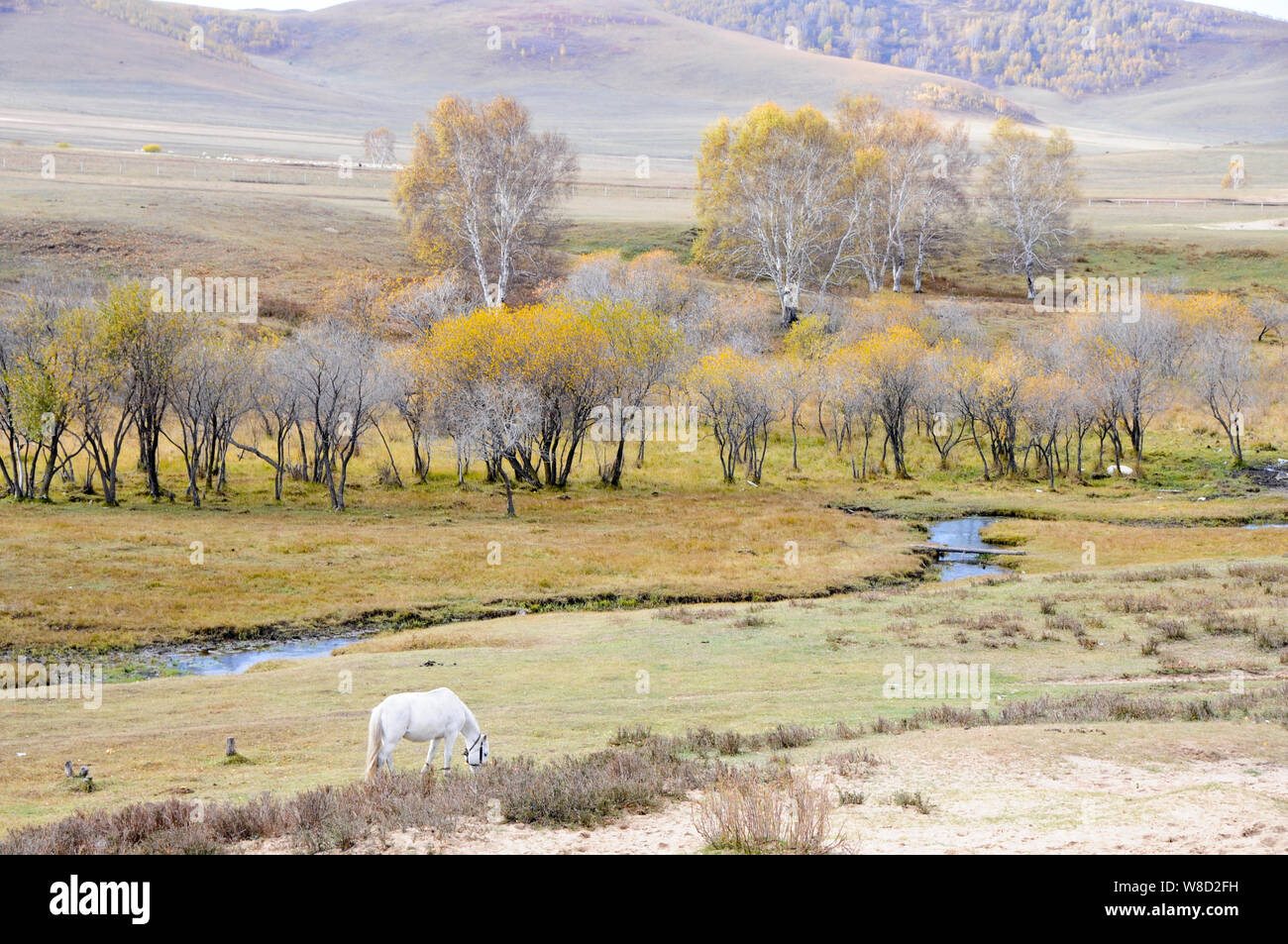 Chifeng scenery hi-res stock photography and images - Alamy