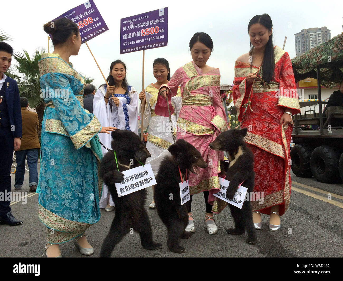 Chinese women dressed in traditional Han costumes lead black bear cubs ...