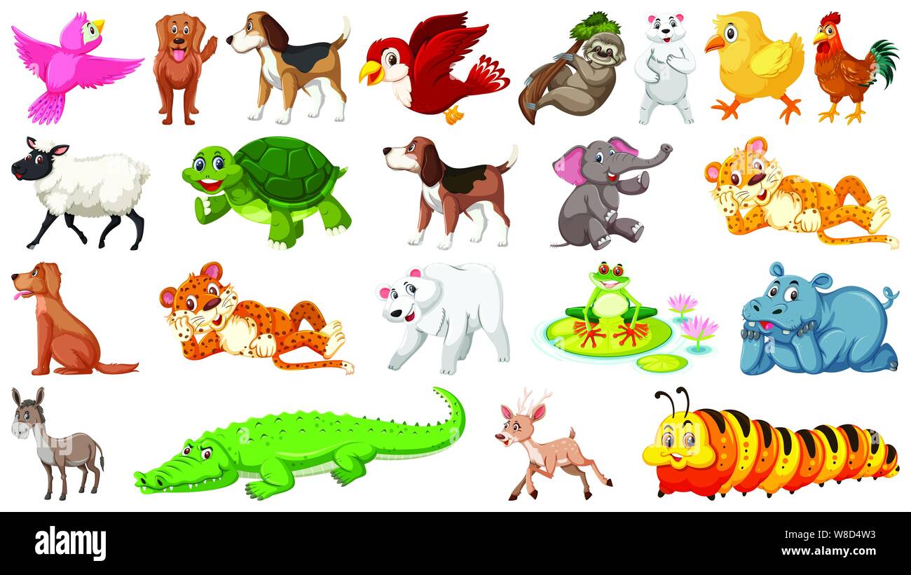 Flying turtle cartoon illustration hi-res stock photography and images ...