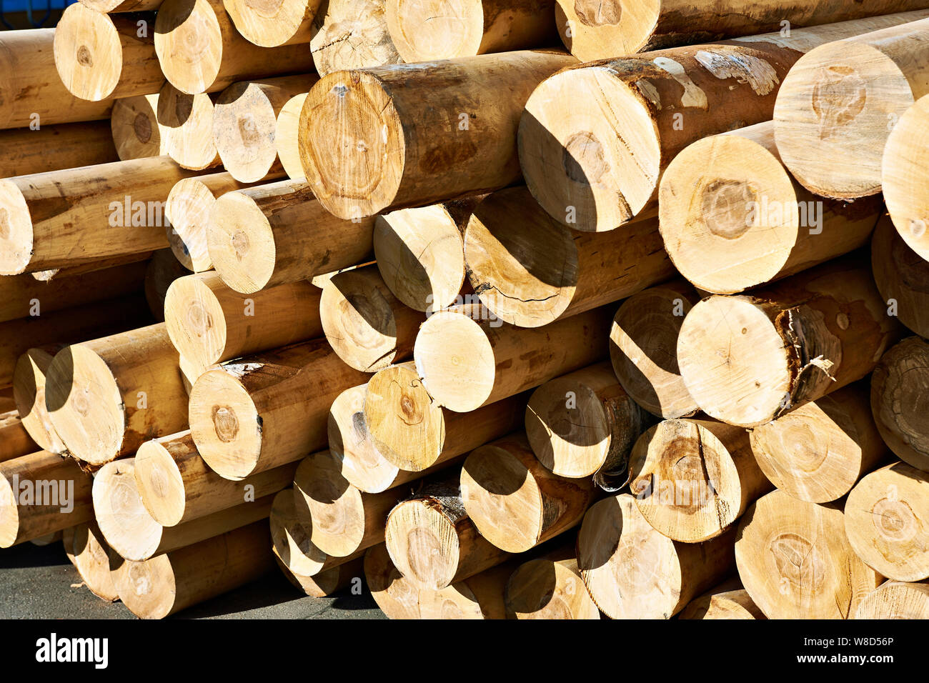 Peeled smooth logs at a sawmill Stock Photo - Alamy