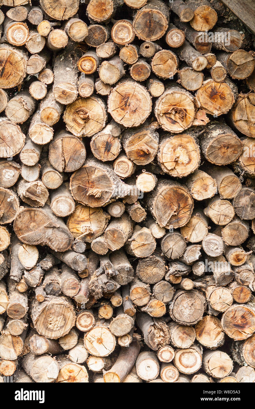Dark brown cut Dry firewood fire, beautiful structure of old wood Stock ...